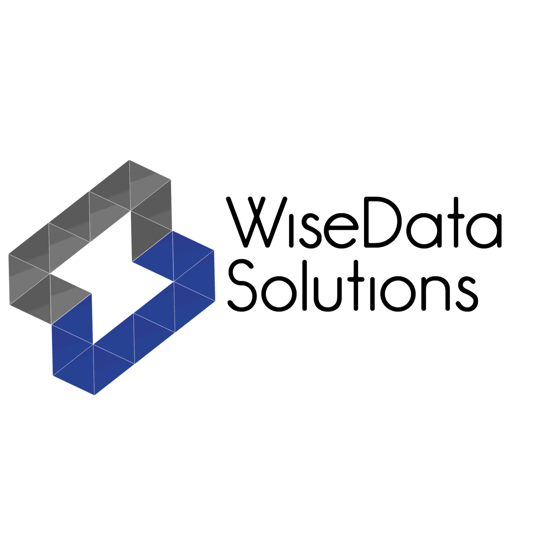Soluciones de software y atención al cliente - WiseData Solutions